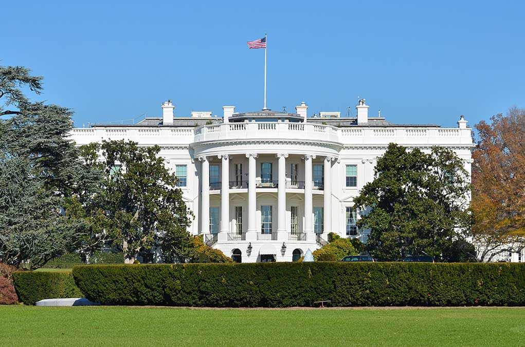 White House UFC Plot STOPS Cold | What News Daily